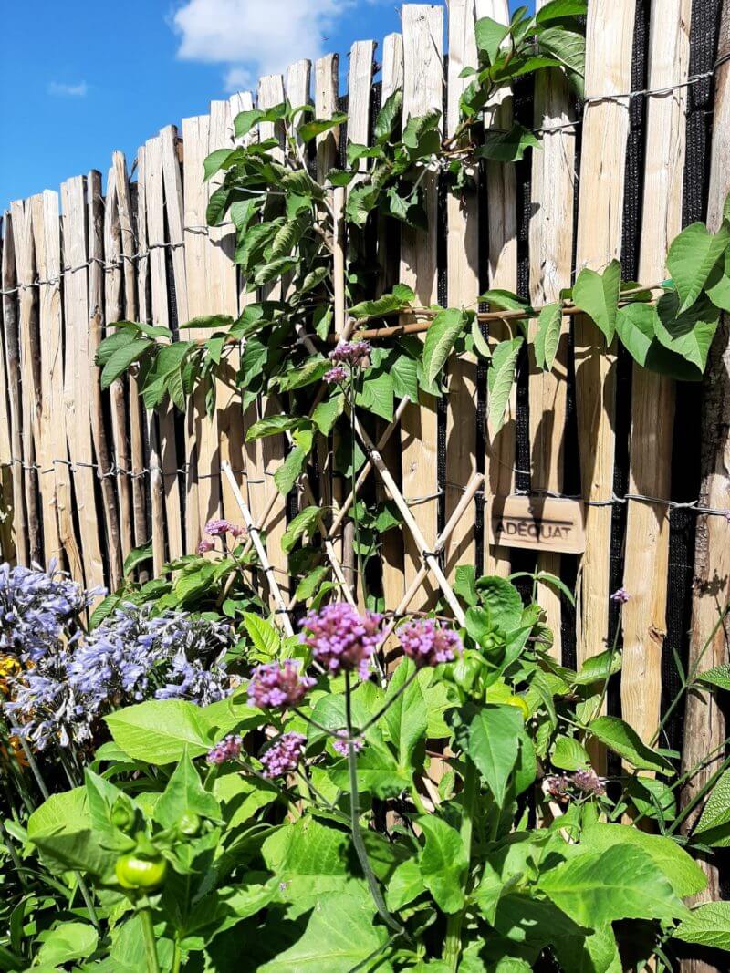 Zaunideen - Adéquat