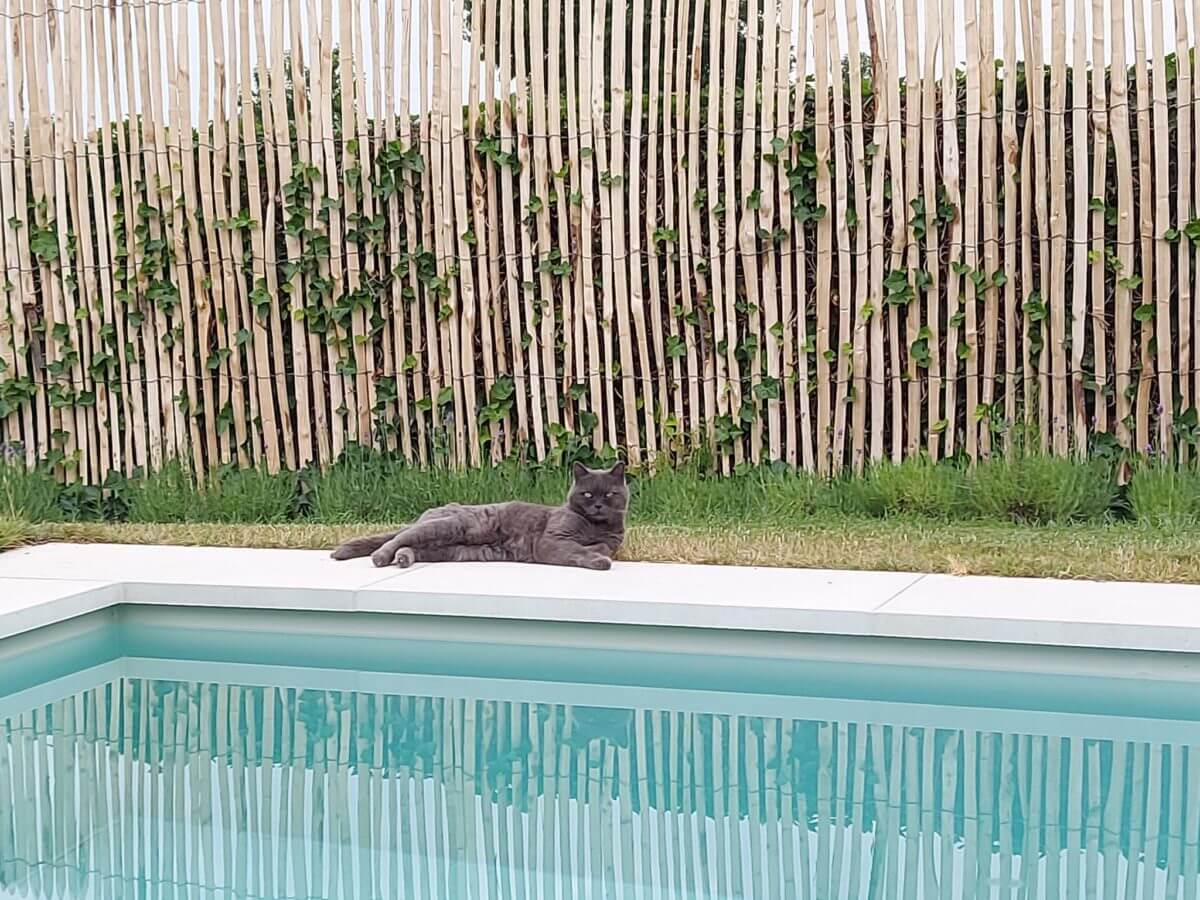 Zaunideen - Adéquat